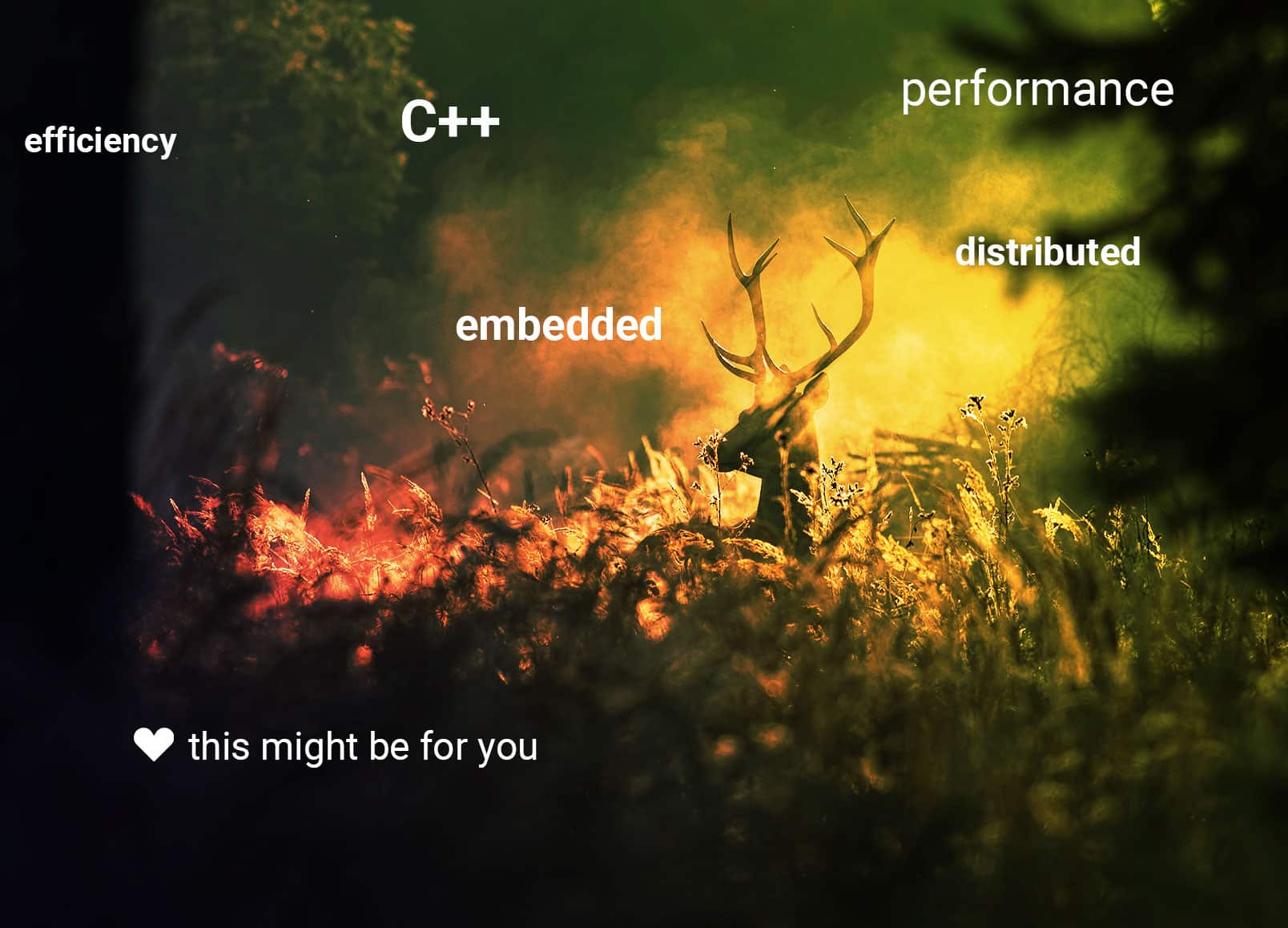 C Developer With A Heart For Performance Efficiency Distributed Systems And Tough Coding 3963